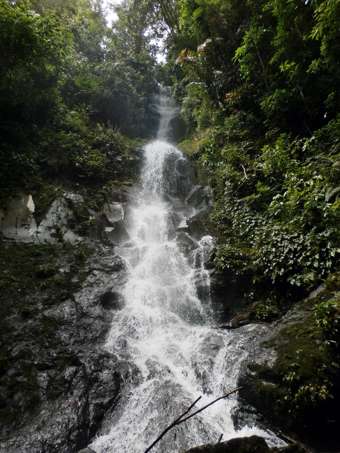 A journey to the magnificent natural wonders | WWF