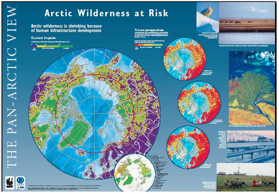 POSTER - The Pan Arctic View: Arctic Wildnerness at Risk | WWF