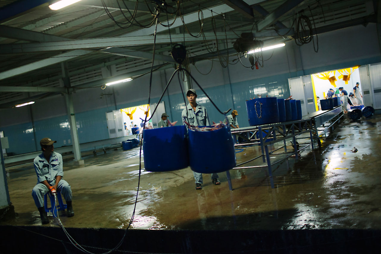 Certifying sustainable shrimp farming practices in Thailand | WWF