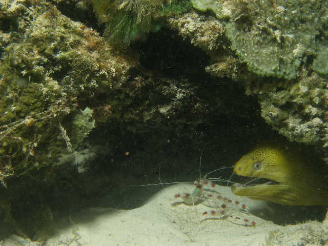 Climate Witness: Rifi Hamdani, Indonesia | WWF