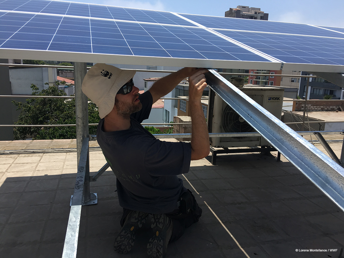 First renewable-powered WWF office in urban Latin America comes online ...
