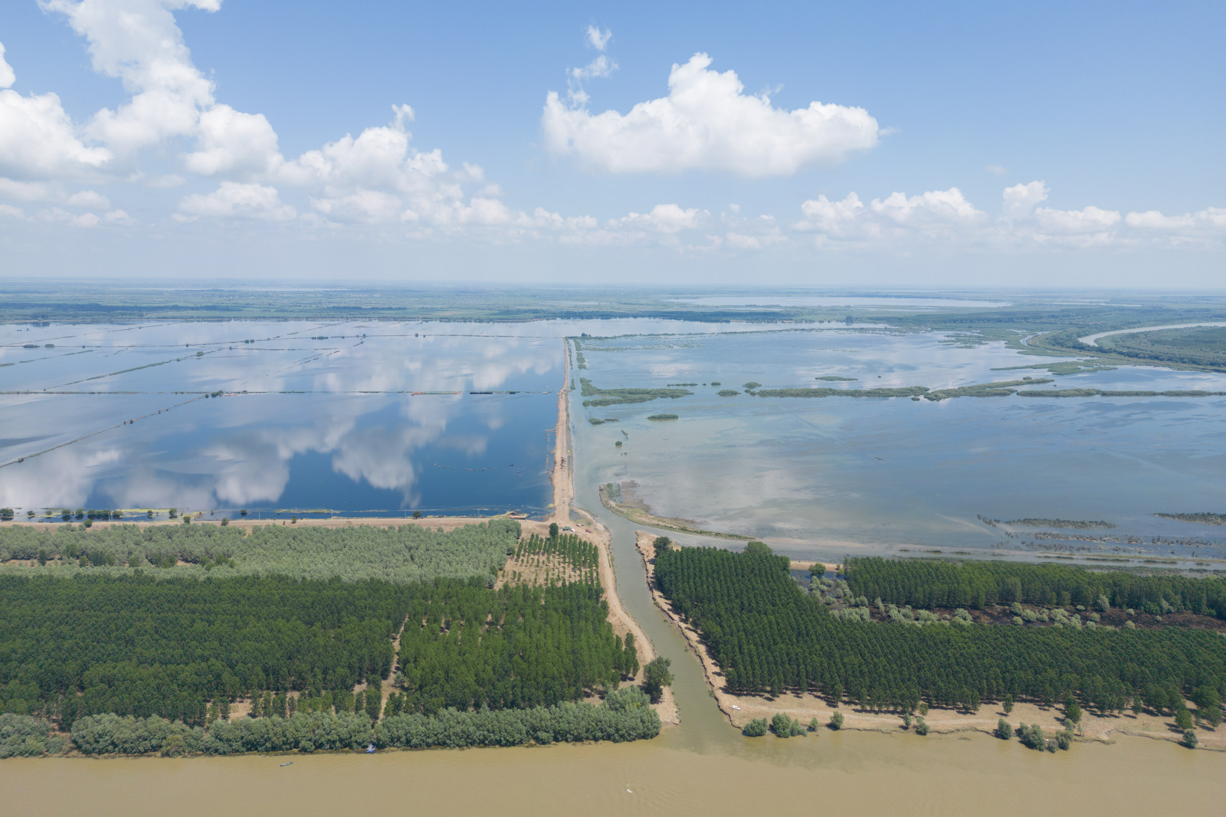 Restored wetlands in Danube Delta facing conversion back to ...