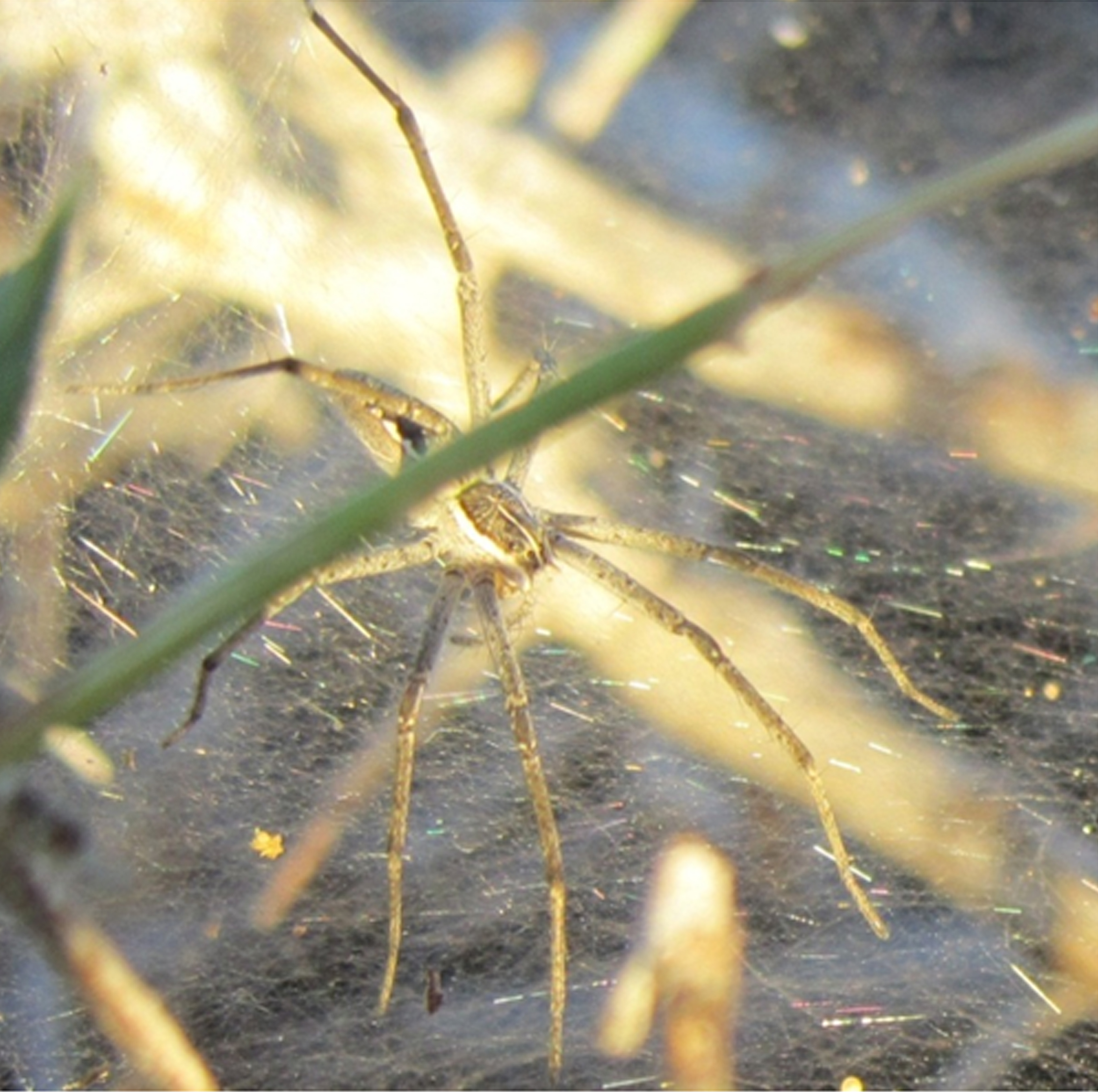 Exploration of the spiny forest | WWF