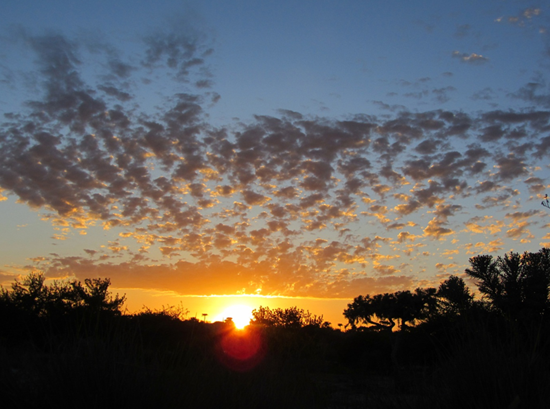 Exploration of the spiny forest | WWF