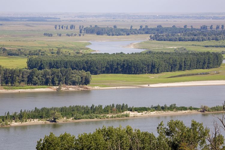 WWF Central and Eastern Europe Celebrates Danube Day | WWF