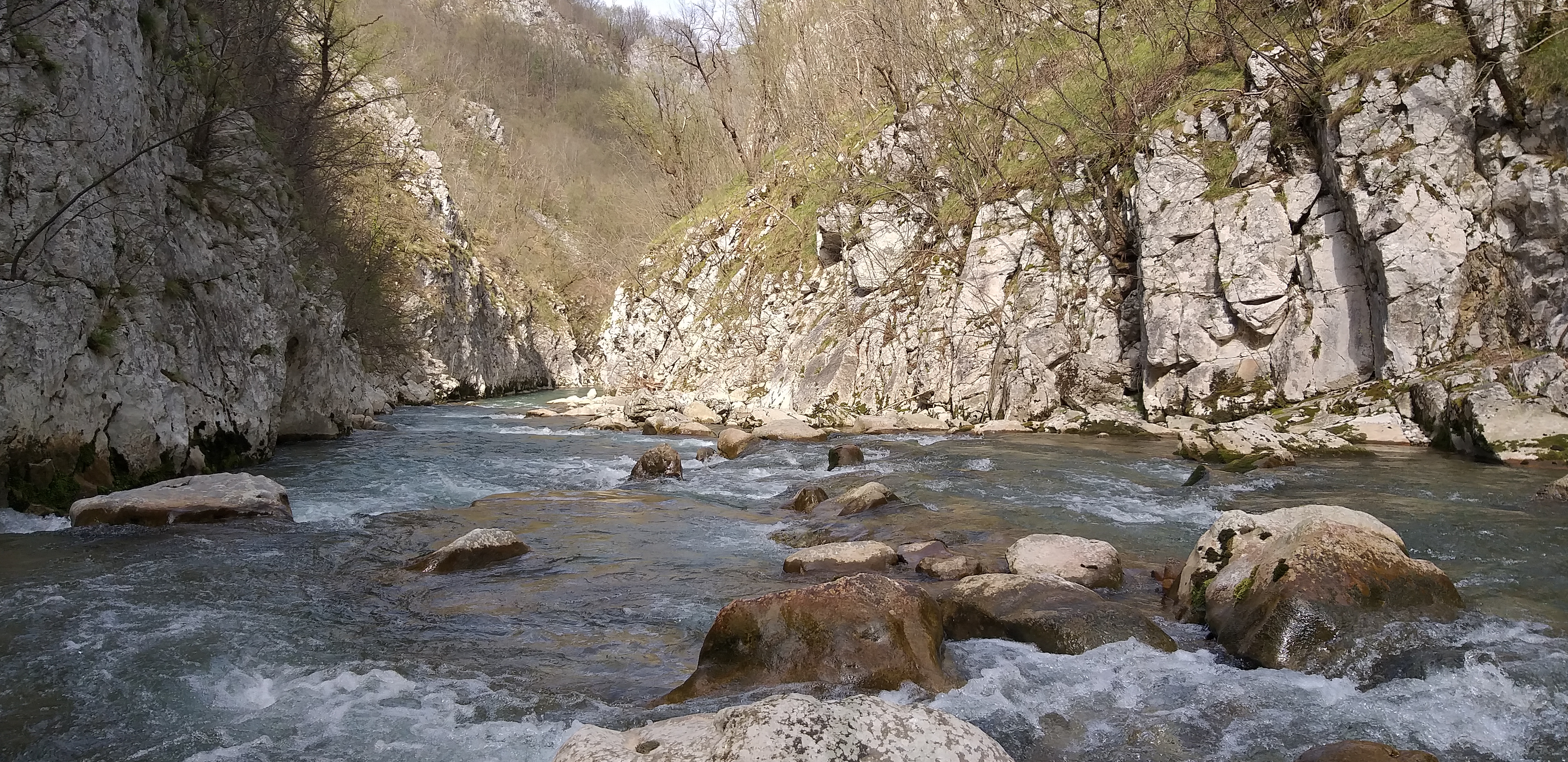 Rush Down the Rzav River: Nature Lovers Protecting Biodiversity | WWF