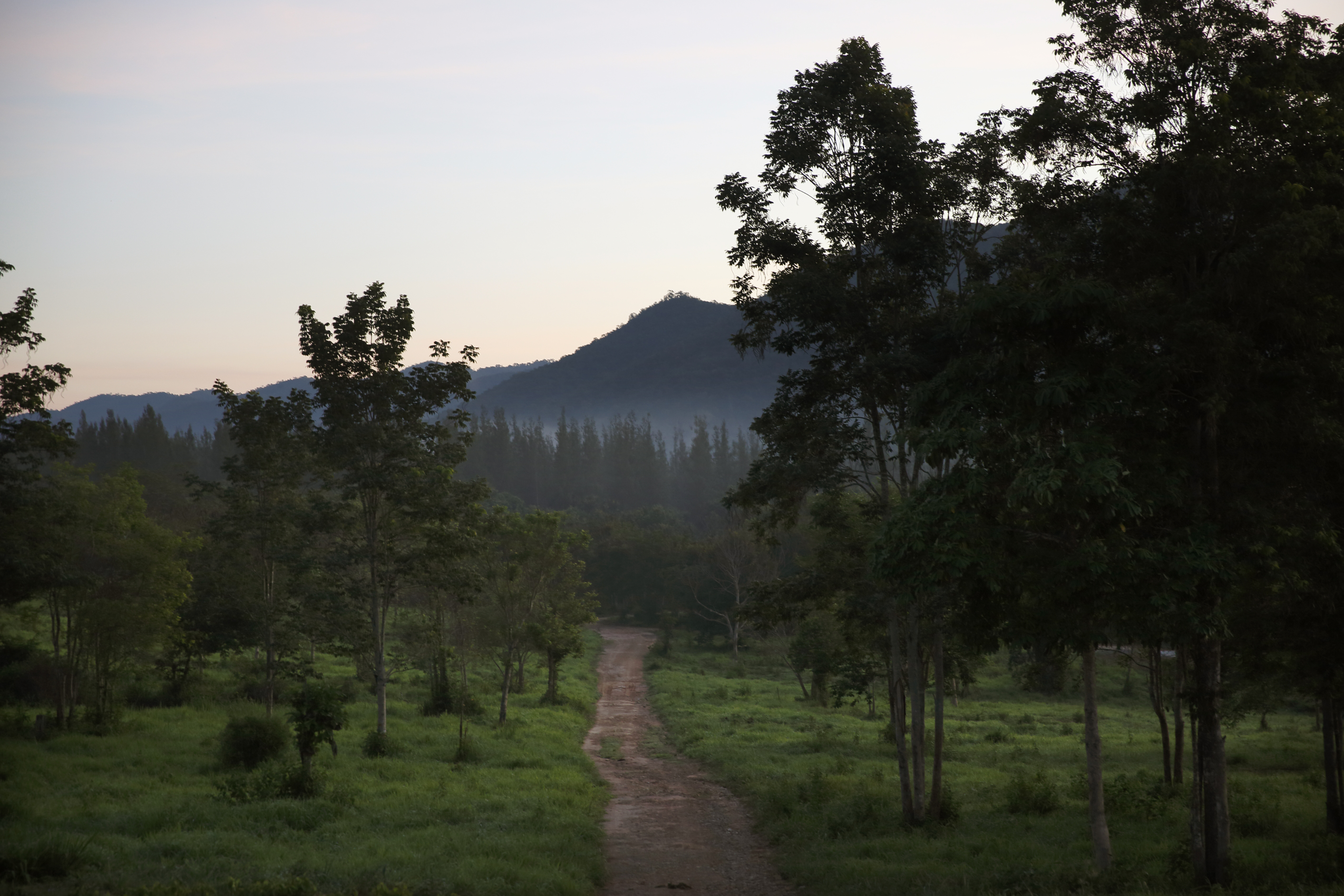 Kuiburi National Park A home for human and elephants | WWF