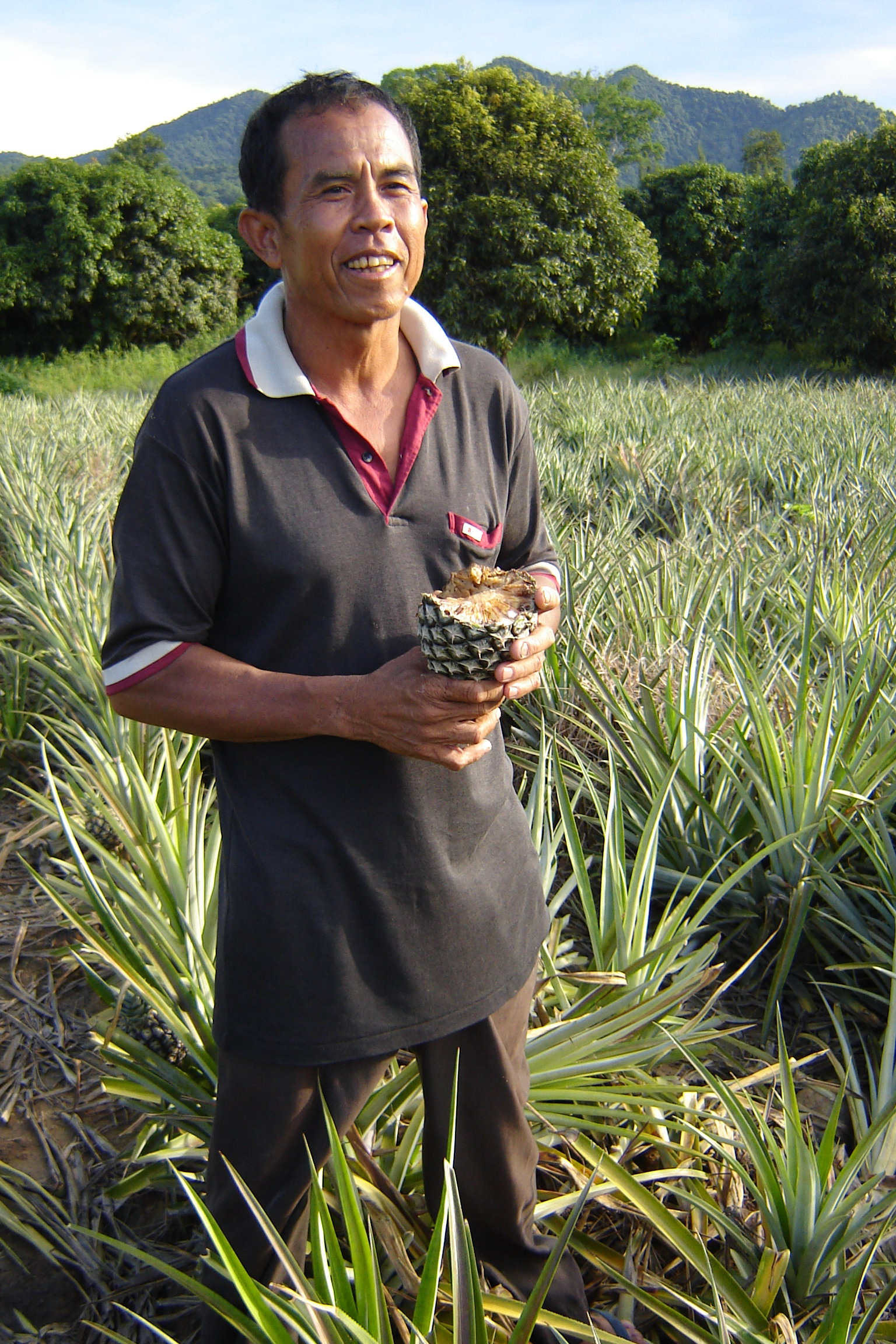 Success in human elephant conflict resolution - Lessons from forestry ...