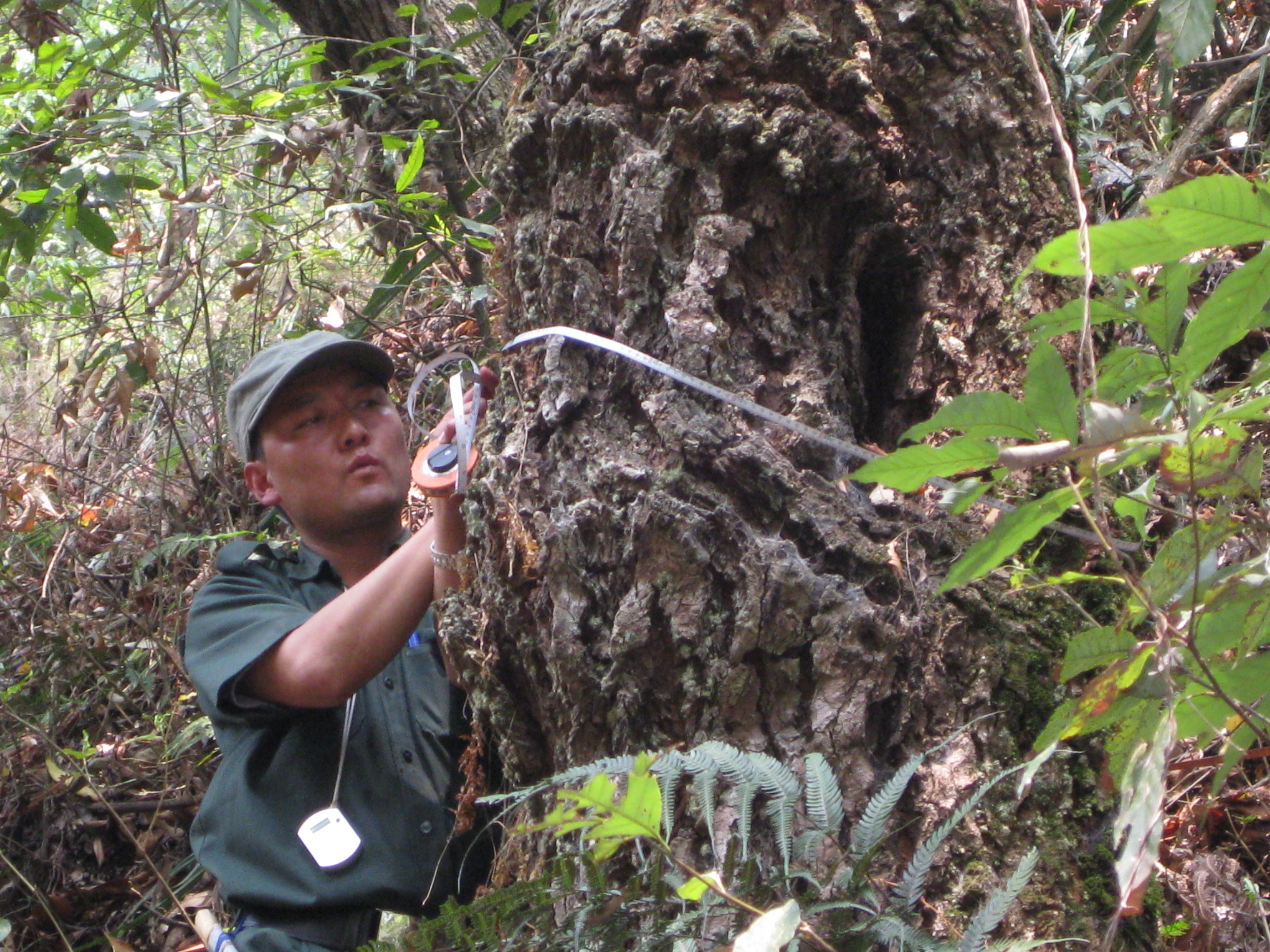 First management plan for Toorsa Strict Nature Reserve | WWF