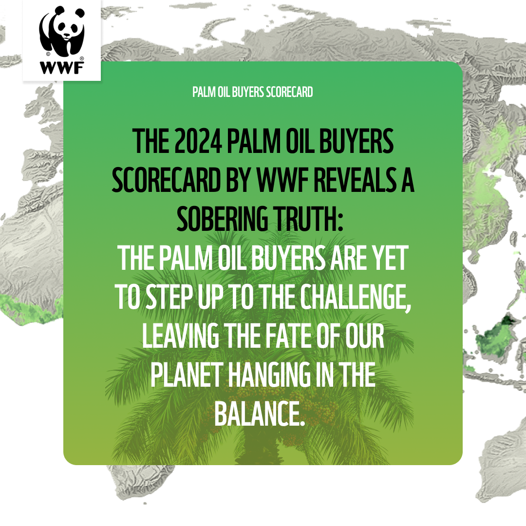 WWF's 2024 Palm Oil Buyers Scorecard reveals slow progress by companies and calls for urgent ...