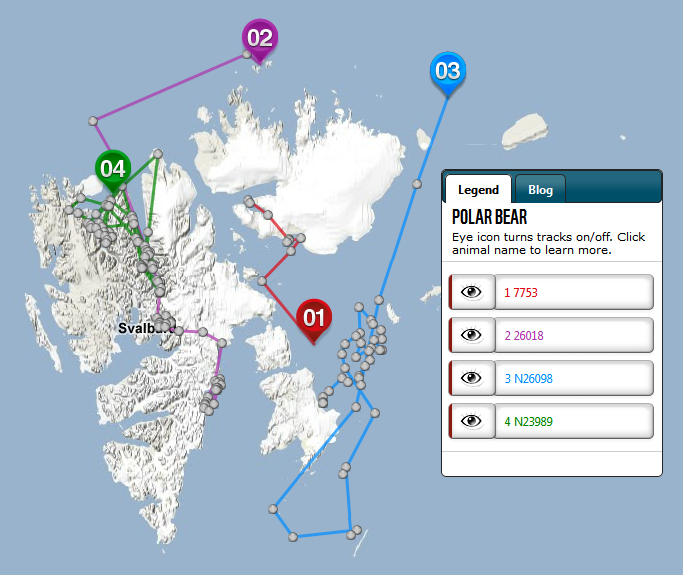 Update on the Svalbard bears | WWF