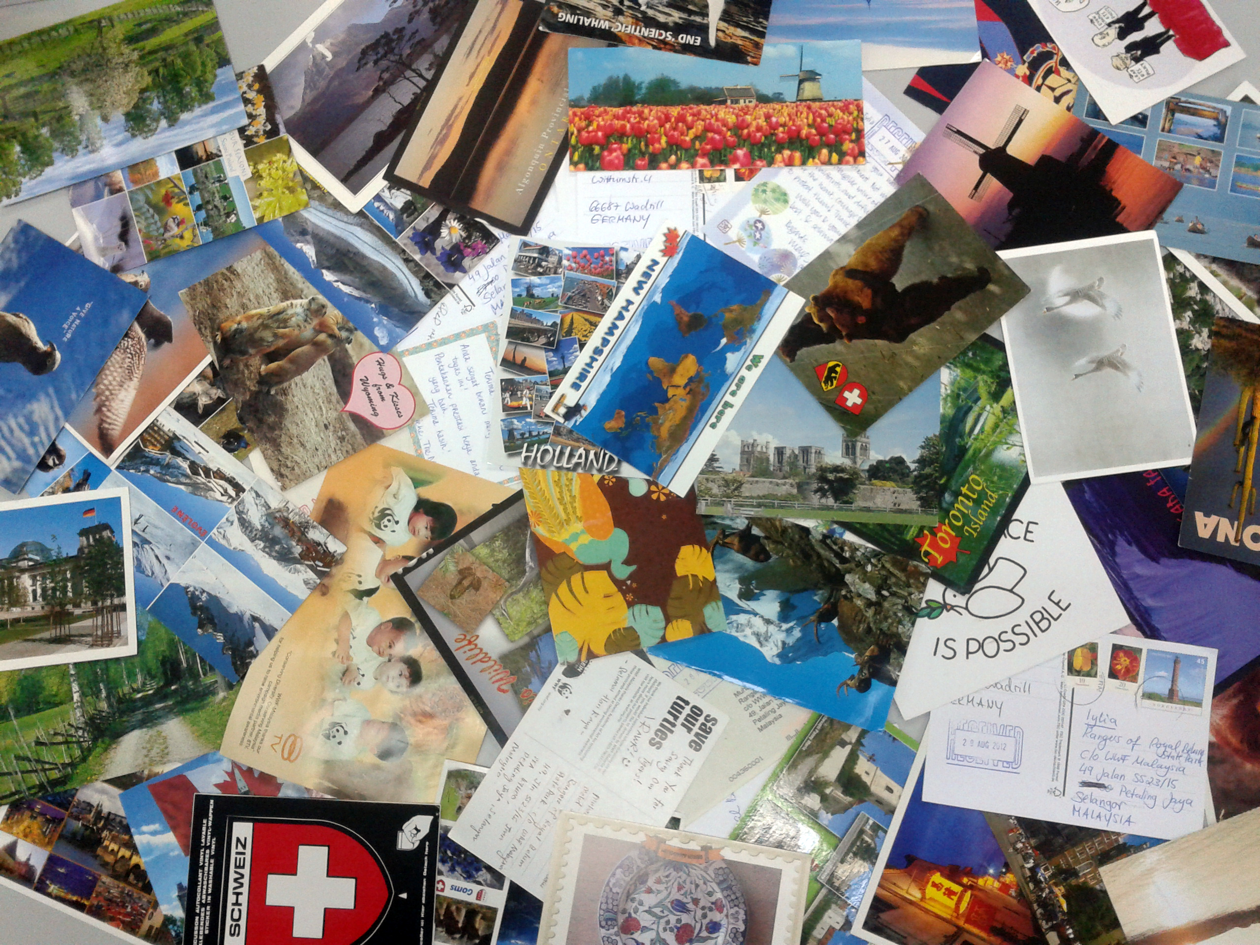 A deluge of postcards for Malaysia's tiger rangers | WWF