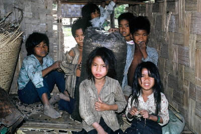 The environment matters | WWF