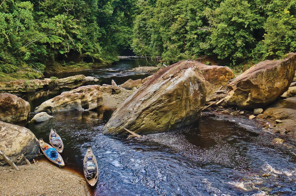 Gunung Lumut: Heaven on Earth | WWF