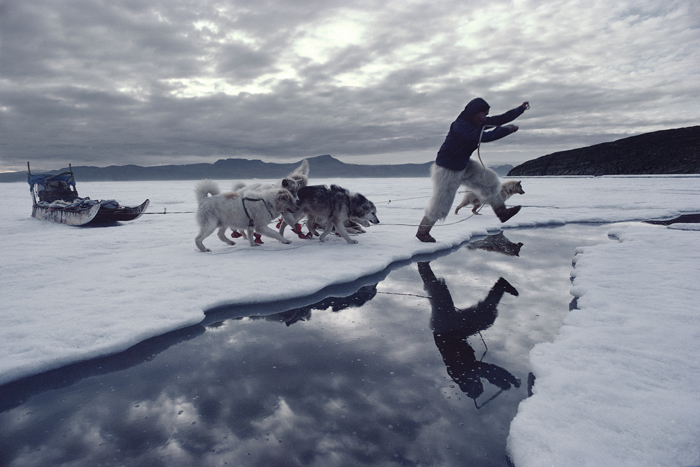 The Top Issues for Arctic Council Action | WWF
