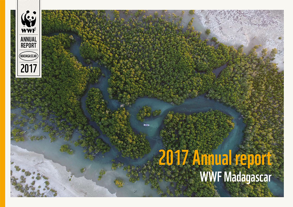 WWF Madagascar 2017 report, between conservation, community engagement ...