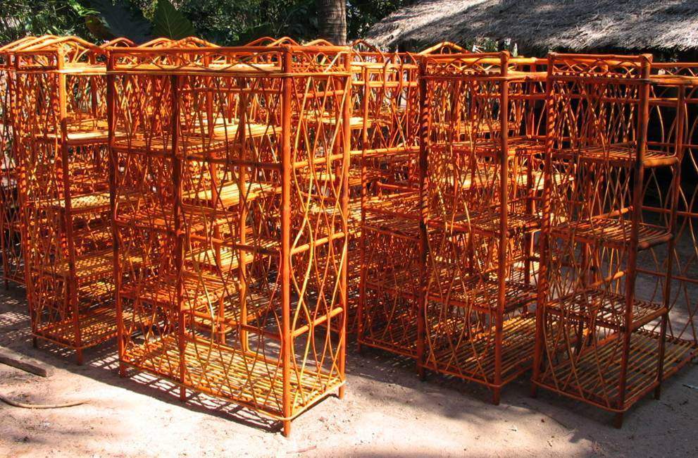 Pointing the way to sustainable rattan | WWF