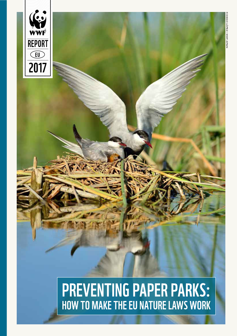 New study by WWF: Moving nature protection from paper to the ground | WWF