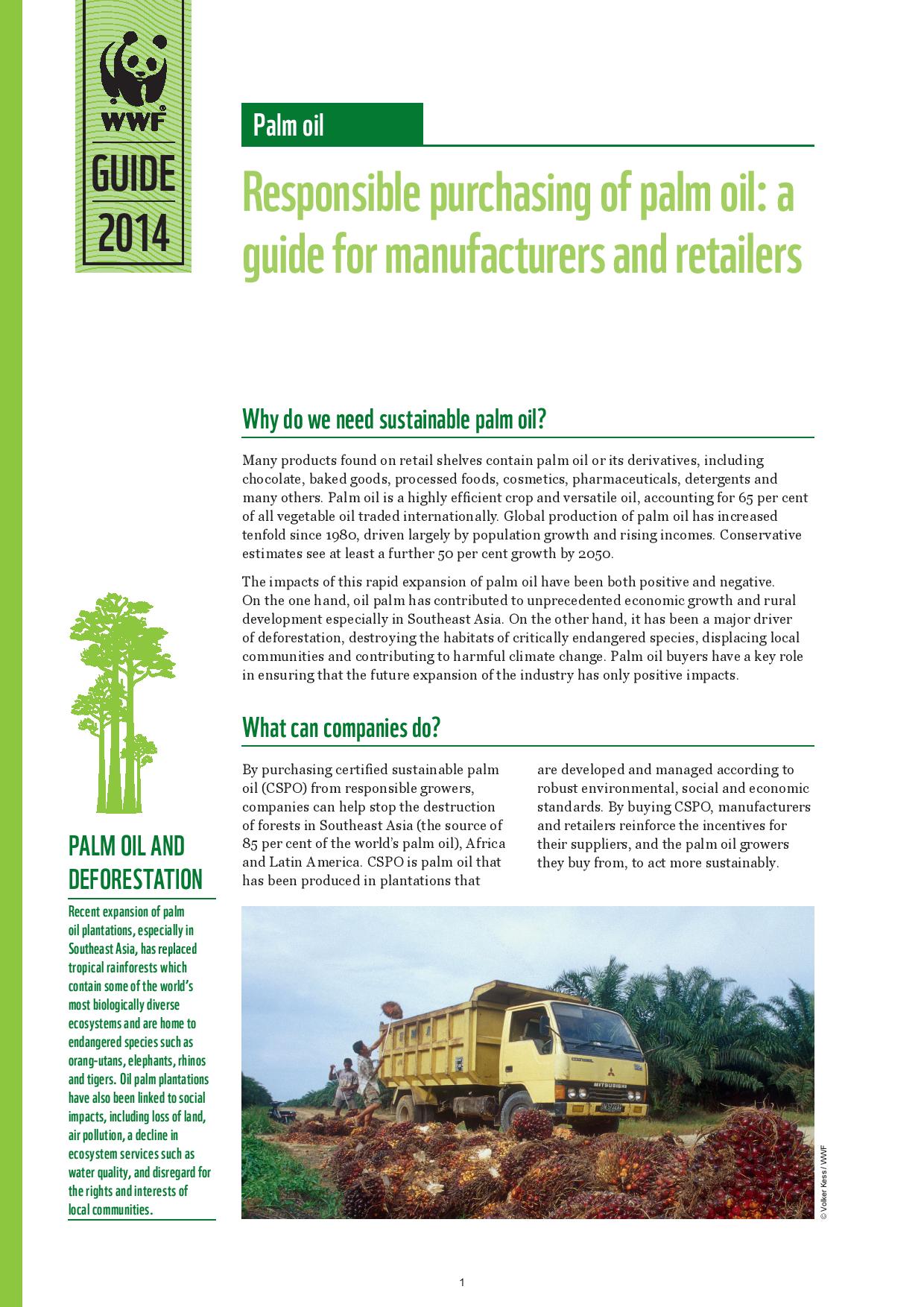 Responsible Purchasing of Palm Oil: A guide for manufacturers and ...