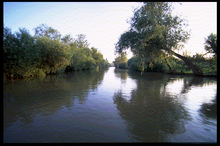 Danube one of top ten world’s most threatened rivers | WWF