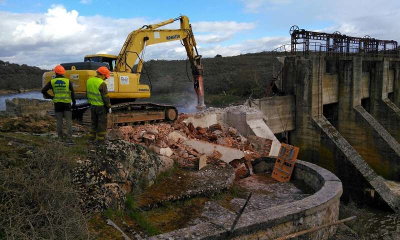 What’s wrong with dams? | WWF