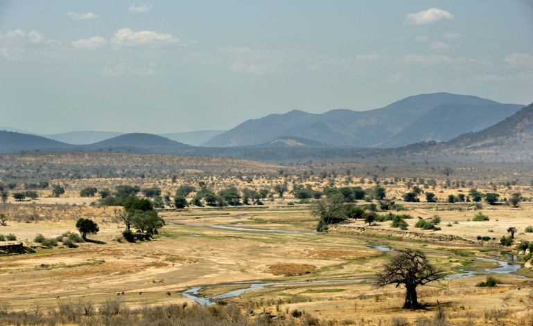 Banking on conservation in Tanzania | WWF