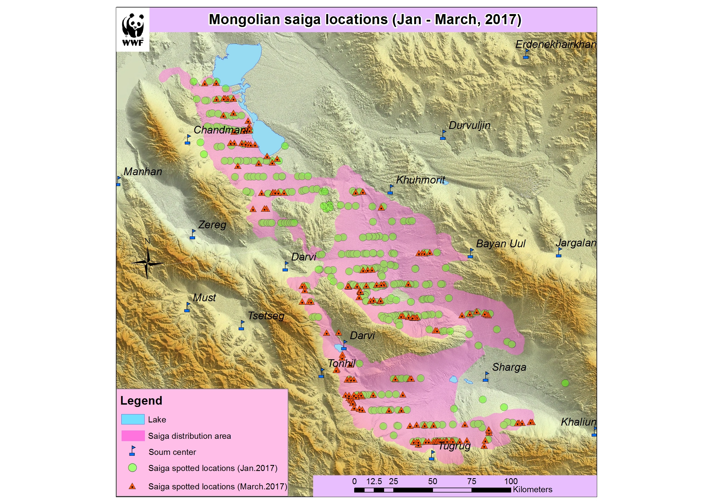 54.5 percent of the Mongolian Saiga population is lost due to disease ...