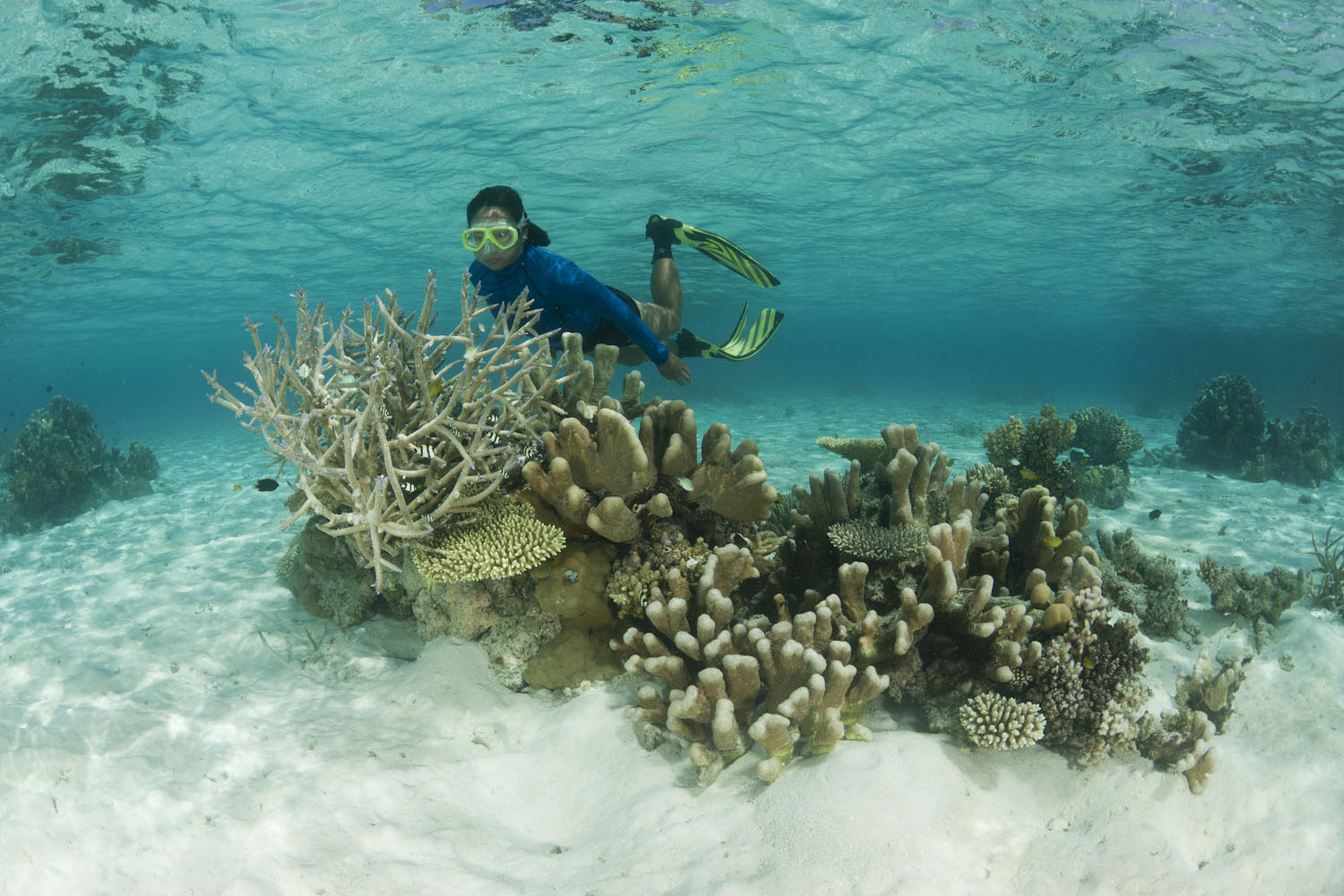 REPORT: Investment Opportunities for Sustainable Nature-based Tourism ...