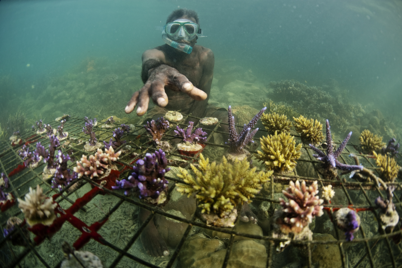 WWF statement on approval of UN global development plan | WWF