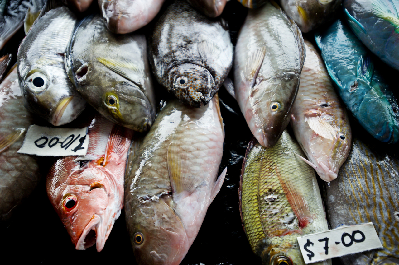 Why Melanesia should move towards a sustainable ‘blue economy’ ASAP | WWF