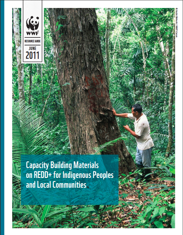 Capacity Building Materials on REDD+ for Indigenous Peoples and Local ...