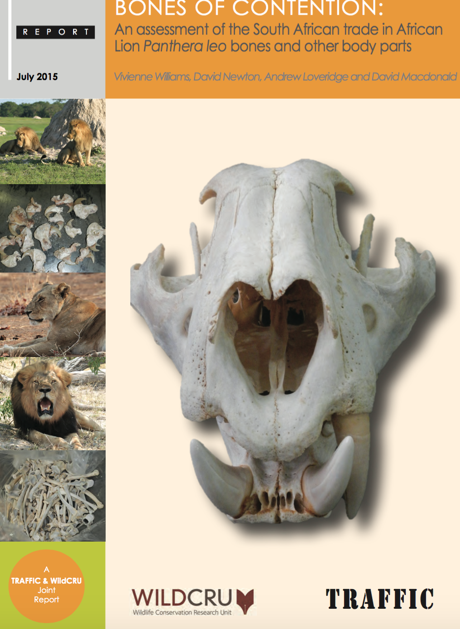 Shining new light on South Africa's lion bone trade | WWF