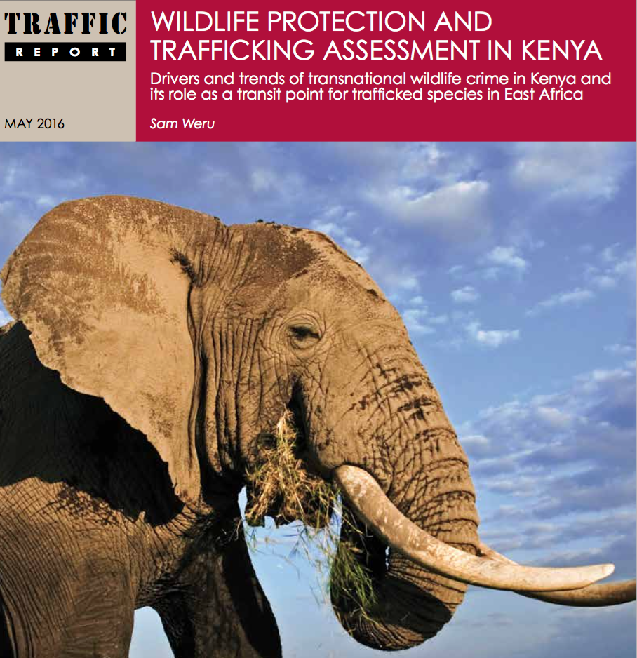 Sophisticated poachers could undercut bold Kenyan fight against ...