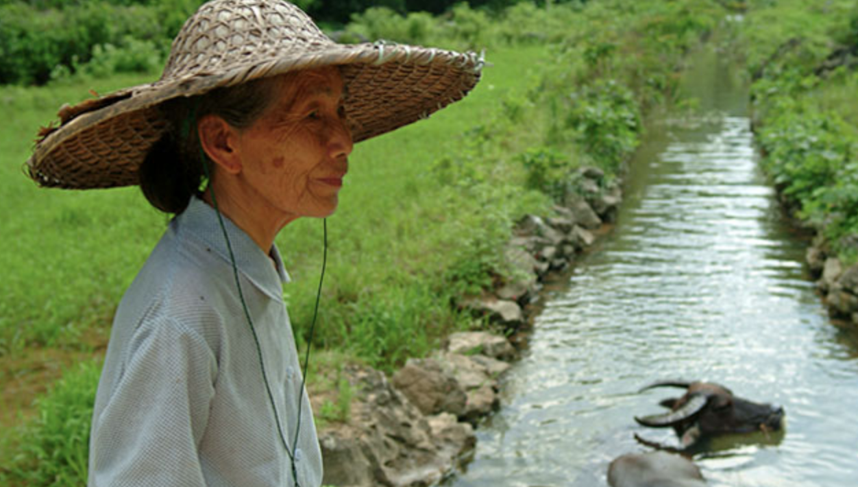 WWF and AWS join forces to strengthen water stewardship | WWF WWF and AWS join forces to strengthen water stewardship | WWF