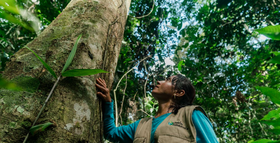 Saving nature vital to beating climate crisis, urges WWF | WWF