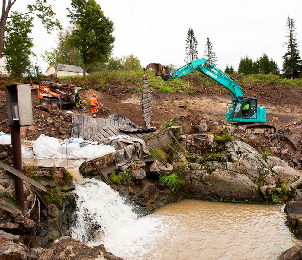 Removing 27 dams opens up 600km of river for endangered migratory fish ...