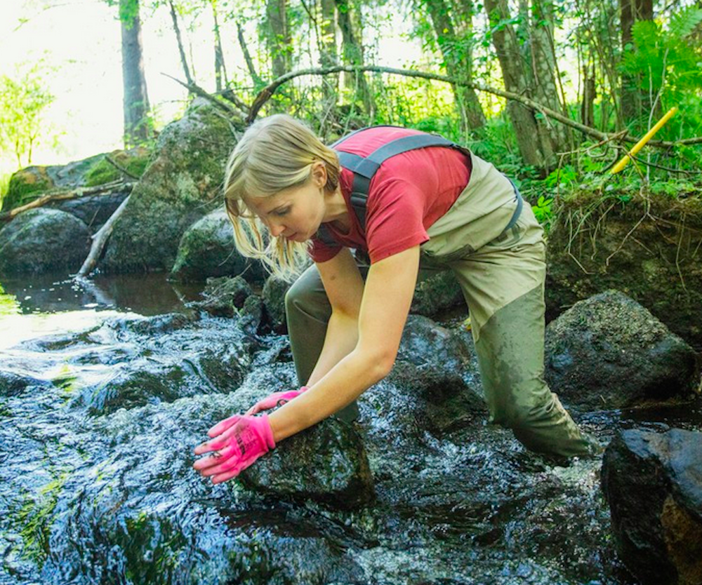 Removing 27 dams opens up 600km of river for endangered migratory fish ...