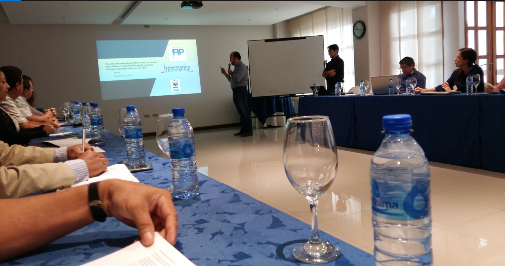 Taller para elaborar el plan de acción de un FIP atunero de palangre ...