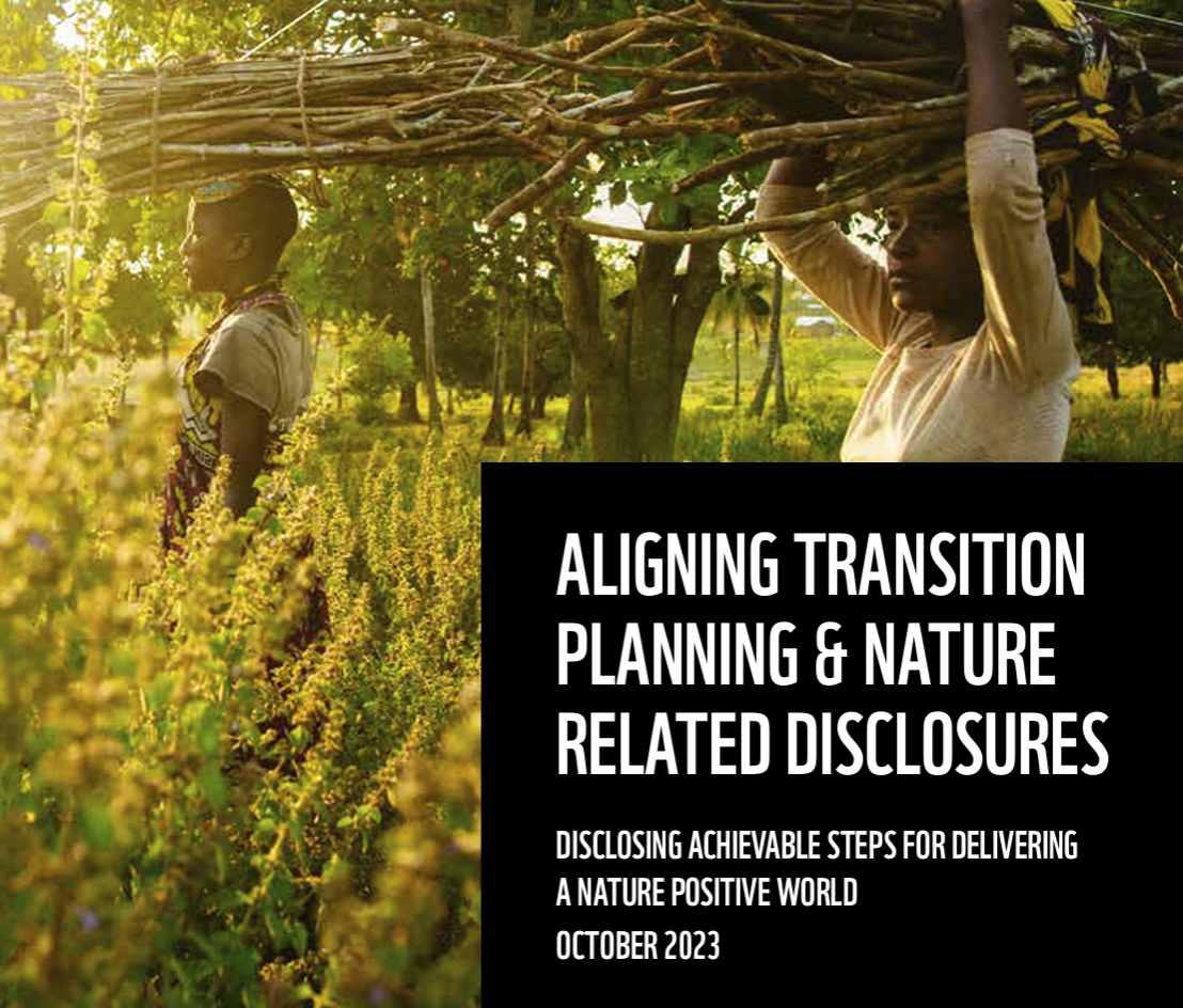 Aligning Transition Planning & Nature-Related Disclosures | WWF