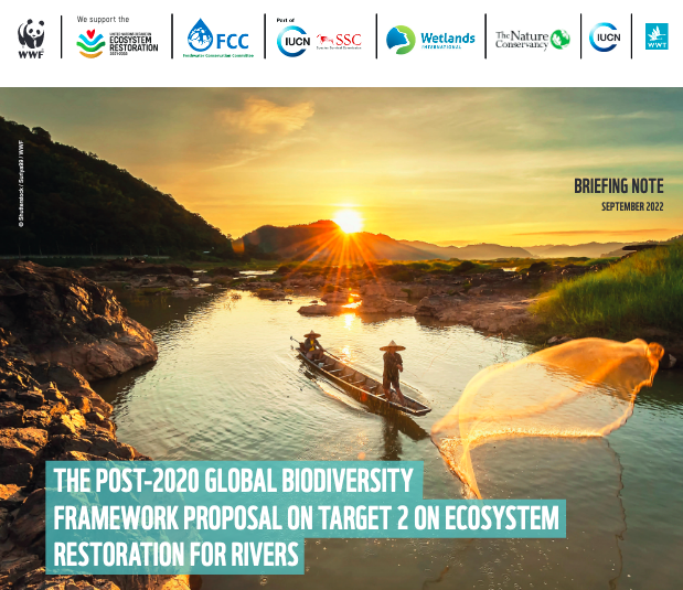 New CBD framework for nature should include target for restoring 300,000km of rivers | WWF