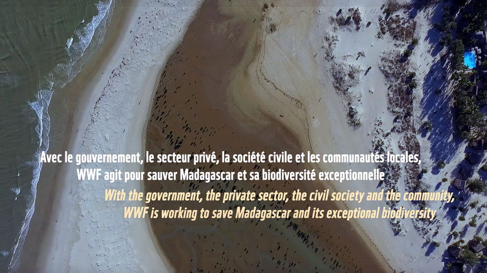 2 minutes to discover how we are preserving Madagascar’s wonders | WWF