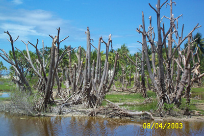 Climate Witness: Ben Namakin, Kiribati and Micronesia | WWF