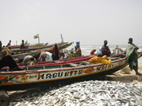 Senegal celebrates creation of new marine protected areas | WWF