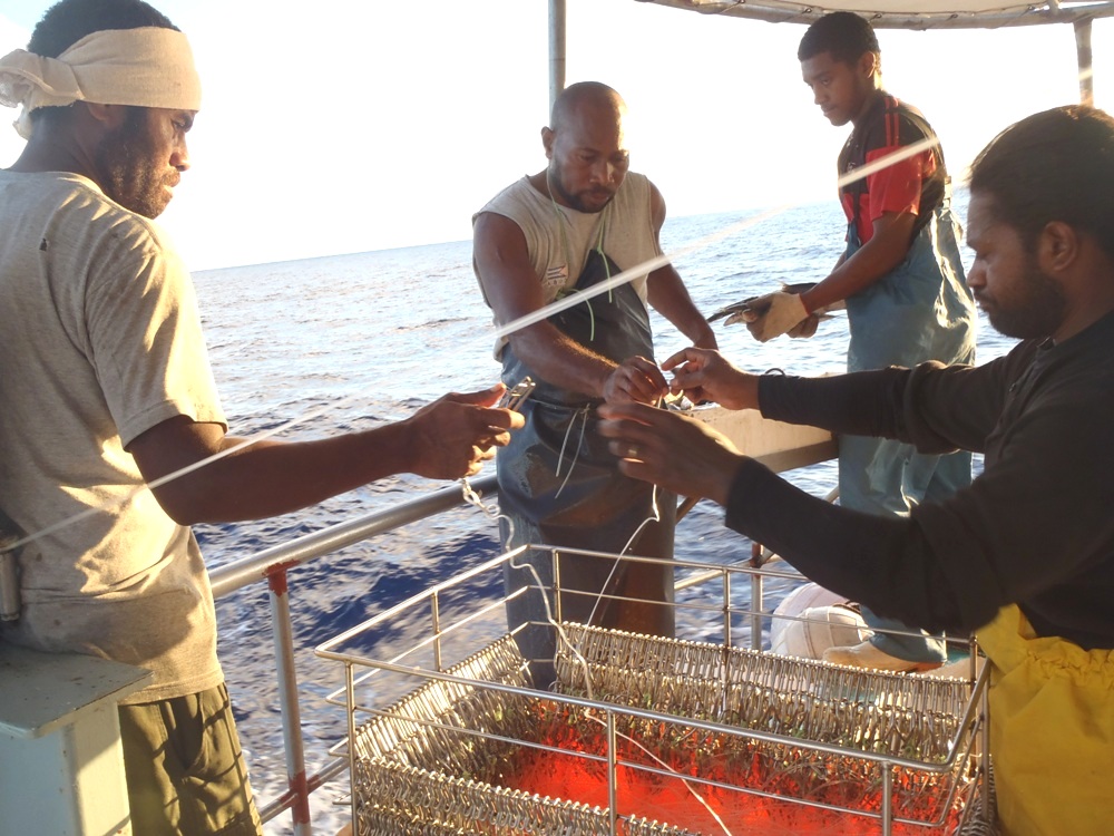 Slice from the Solander: Tuna Catches Decline | WWF