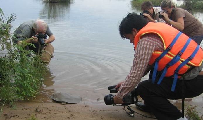 ‘Turtle mania’ puts WWF Cambodia on the world media stage | WWF