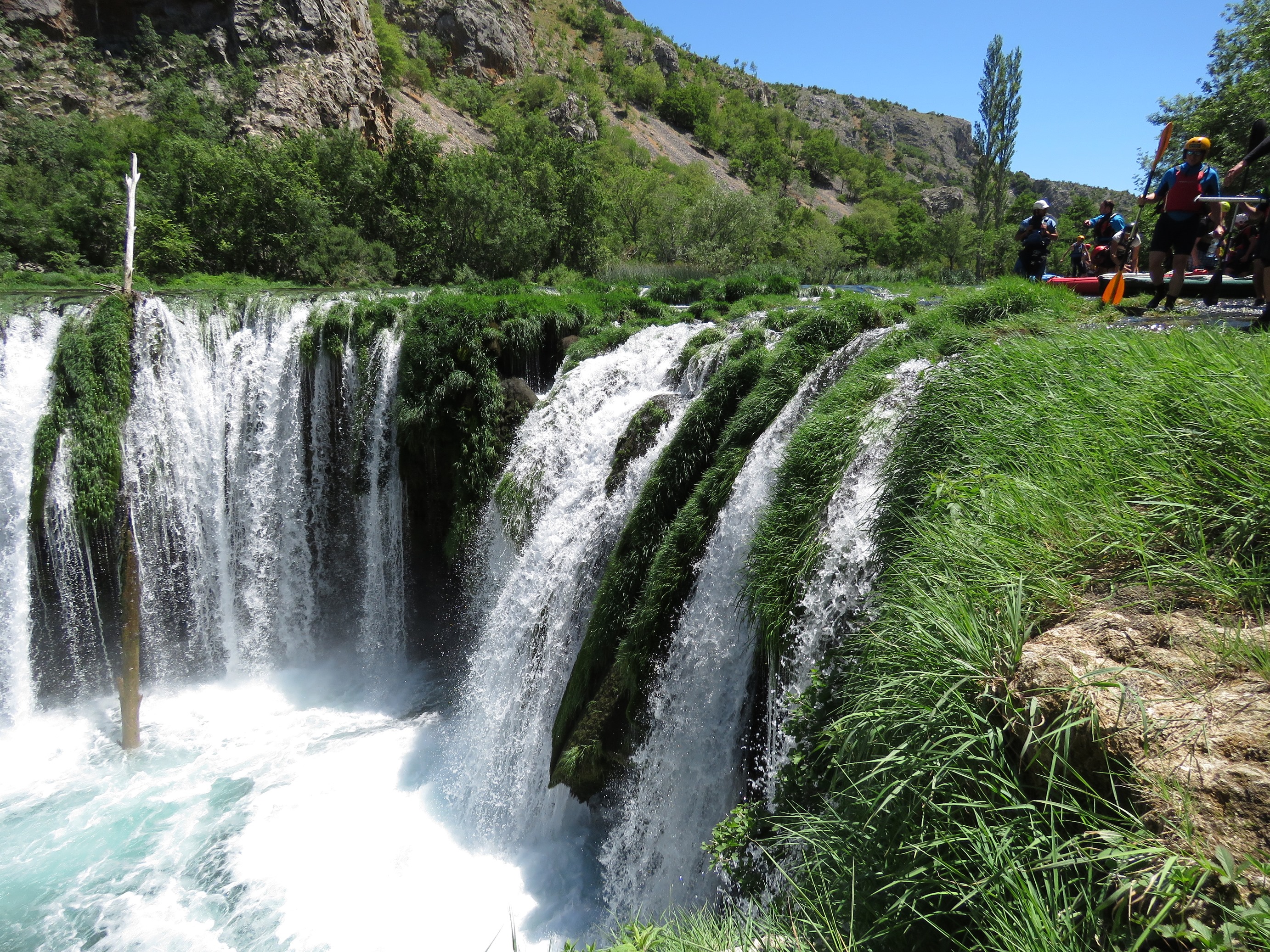 More than 200 rowers paddled for Croatian rivers and saving of ...