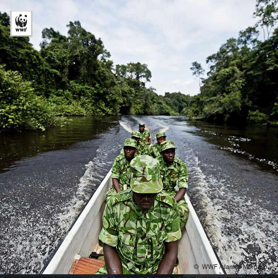 New field ranger training guidelines, could save the lives of those on ...