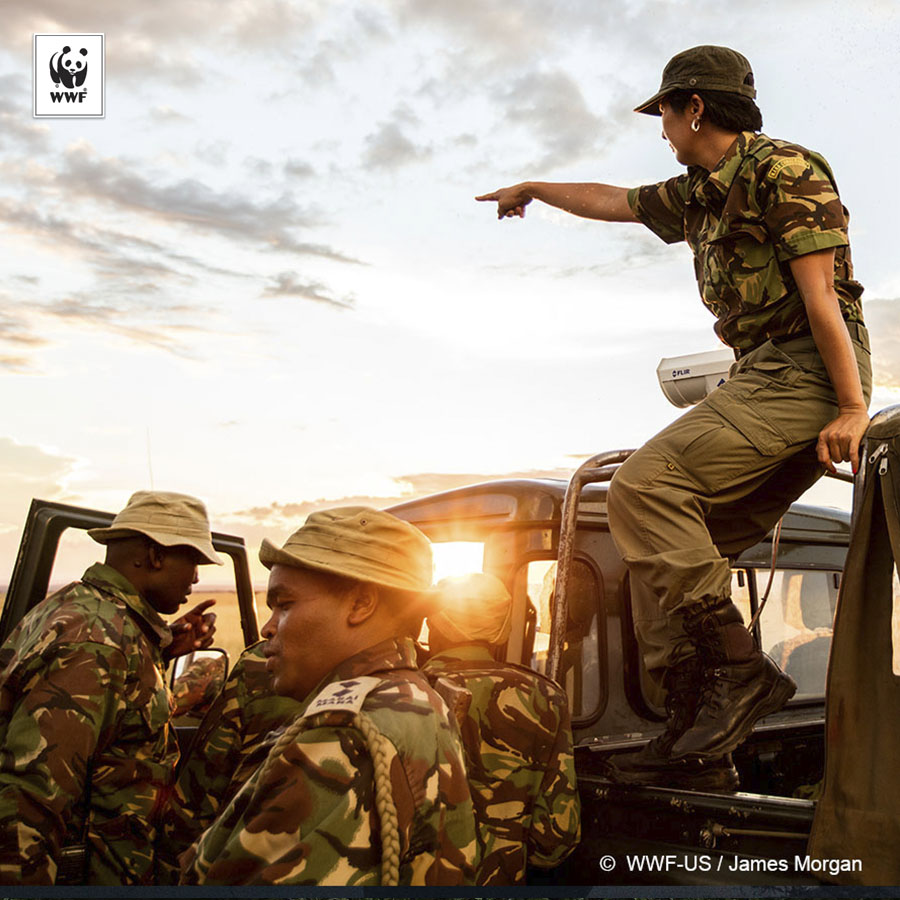 New field ranger training guidelines, could save the lives of those on ...