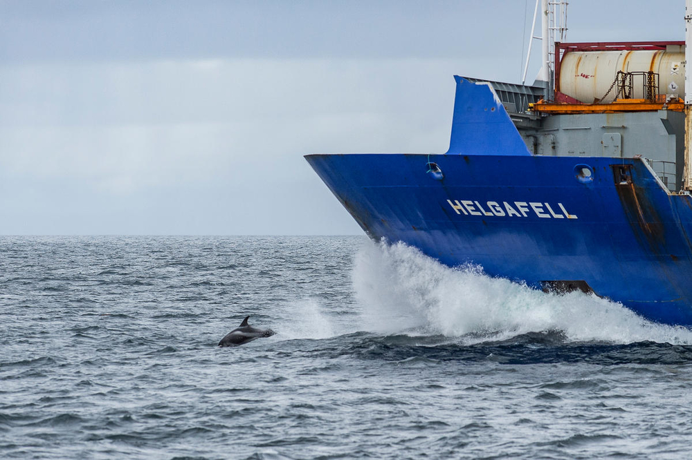 Climate, biodiversity and the crisis facing international shipping | WWF