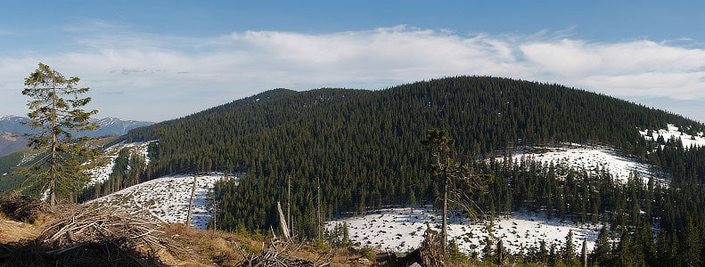 Smrekovica protected area in Slovakia designated with WWF support | WWF